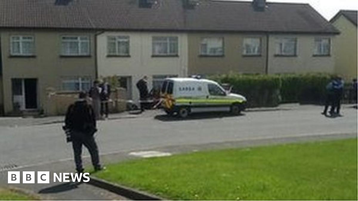 Boy loses fingers in suspected bomb blast in Wicklow - BBC News