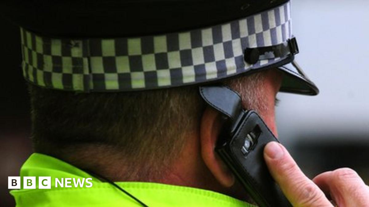 G4S chief says more policing will go private - BBC News