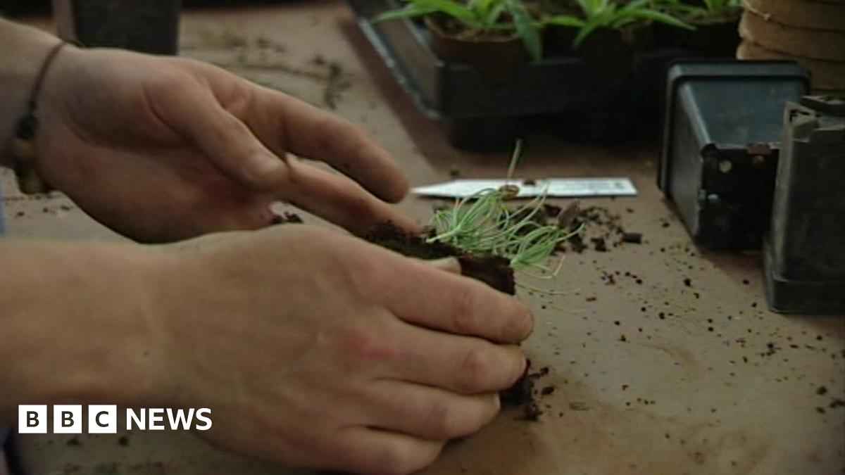 National Trust opens £700,000 Devon conservation centre - BBC News