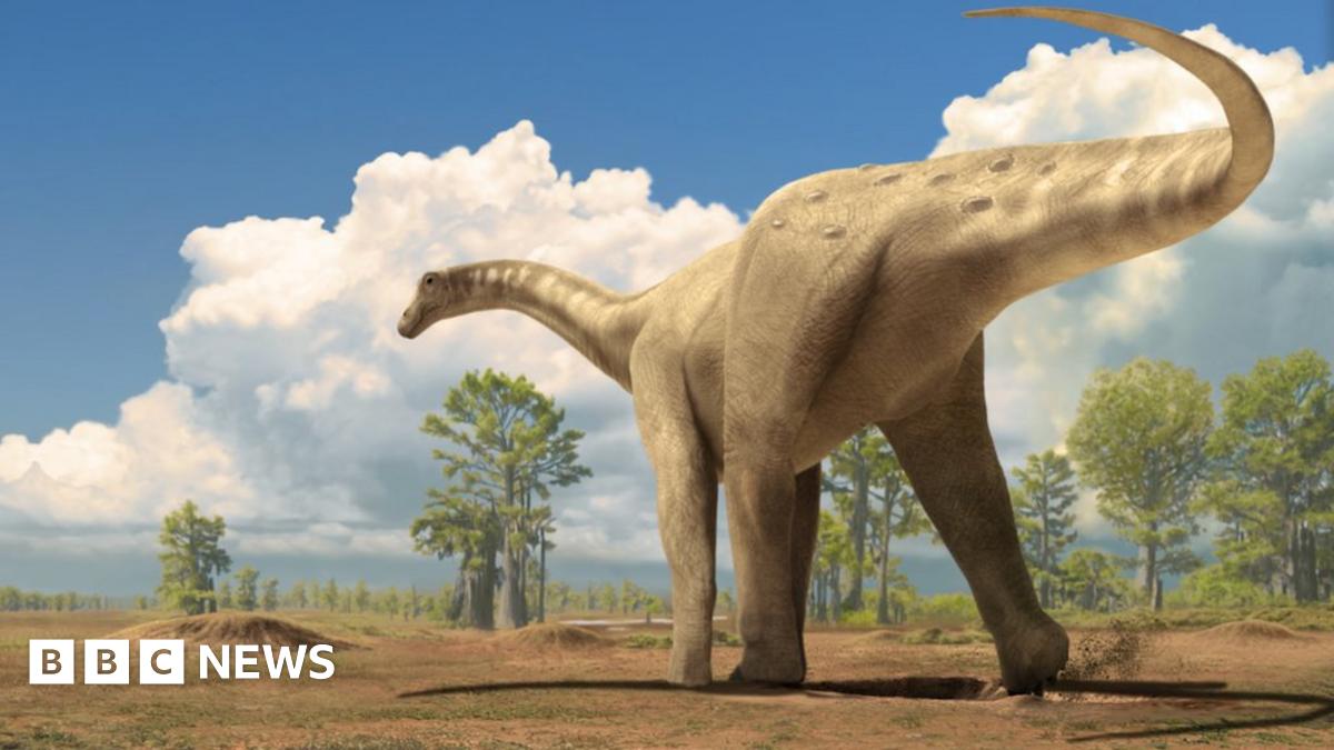 Dinosaur cold-blood theory in doubt - BBC News