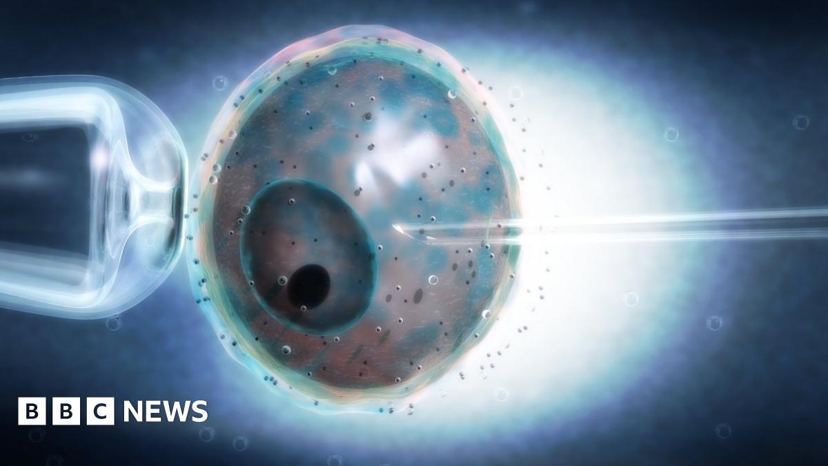 Five millionth 'test tube baby' - BBC News