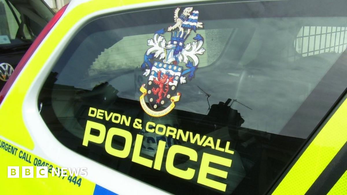 Police budget cuts are 'risk to Devon and Cornwall force' - BBC News