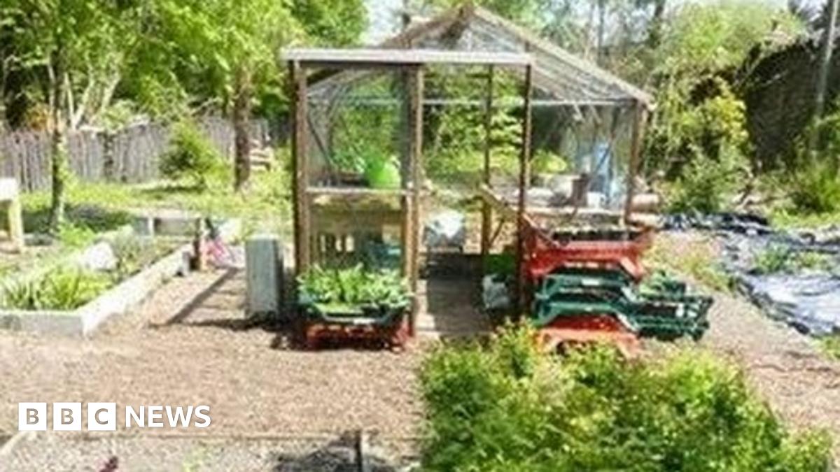Forgotten kitchen garden at Penrhyn castle uncovered - BBC News