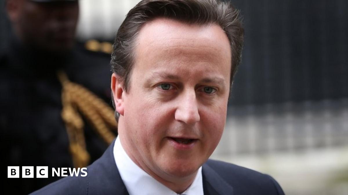David Cameron calls for coalition unity amid Lords divisions - BBC News