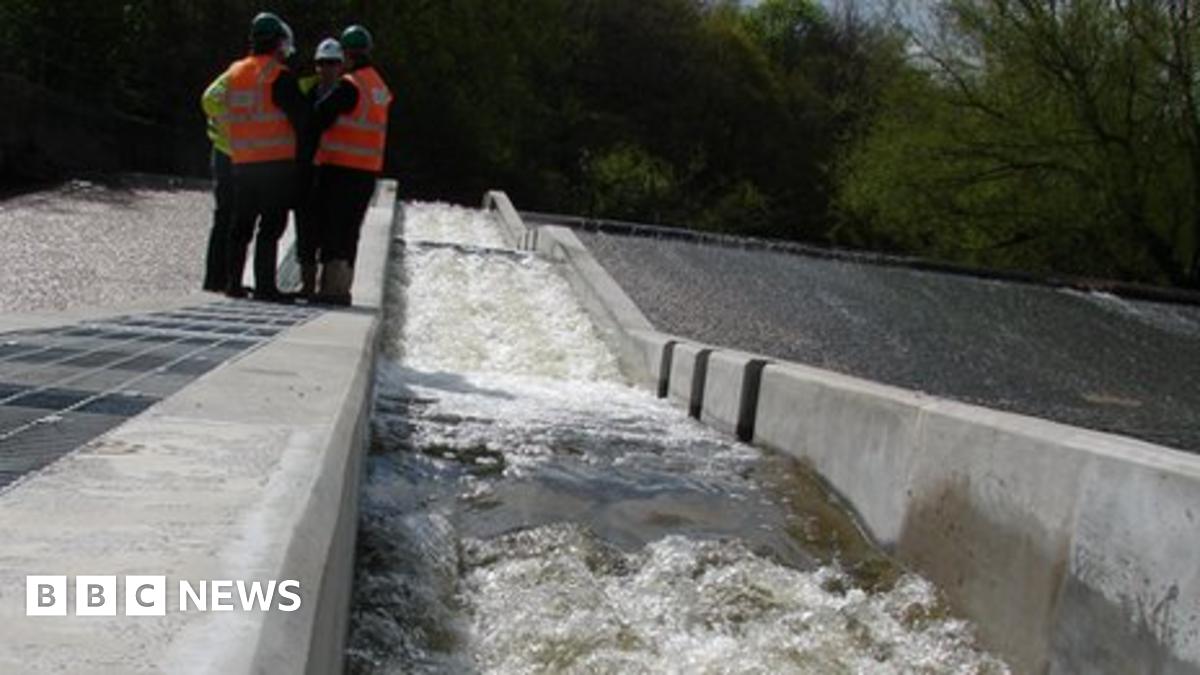 New fish pass opened on the River Derwent - BBC News