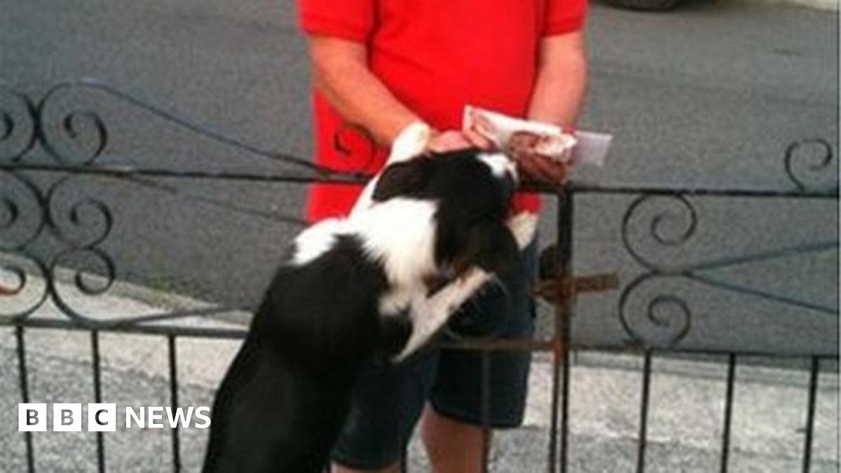 Postal workers 'need new law to stop dog attacks' - BBC News