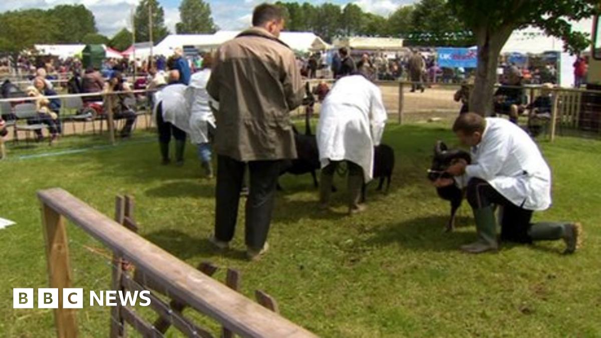 Traders' relieved as Driffield Show goes ahead - BBC News