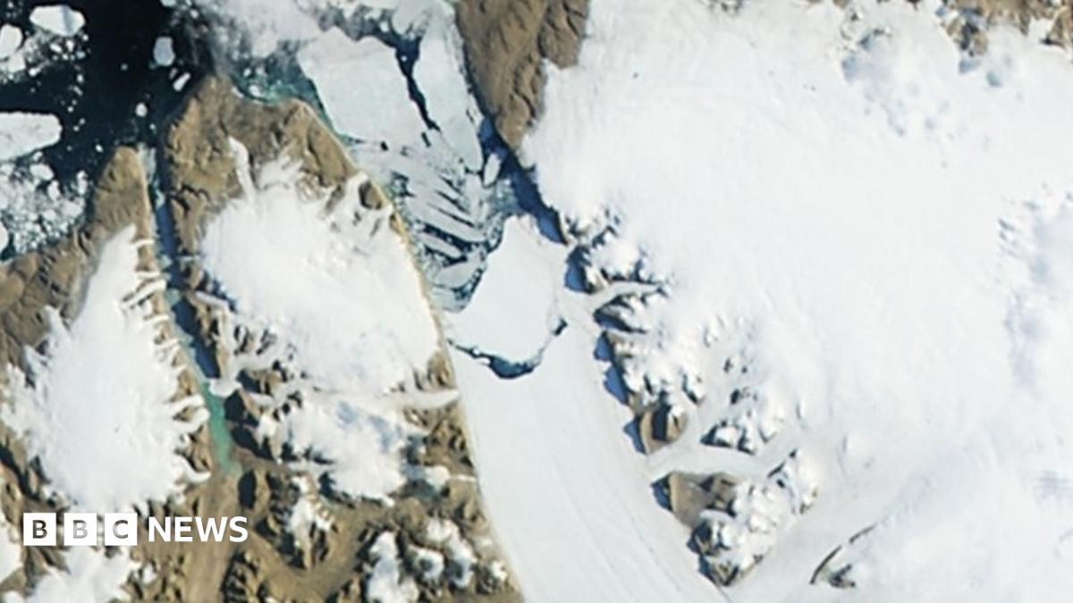 Iceberg breaks off from Greenland's Petermann Glacier - BBC News