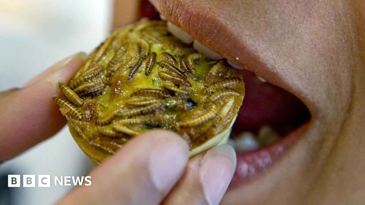 Future foods: What will we be eating in 20 years' time? - BBC News