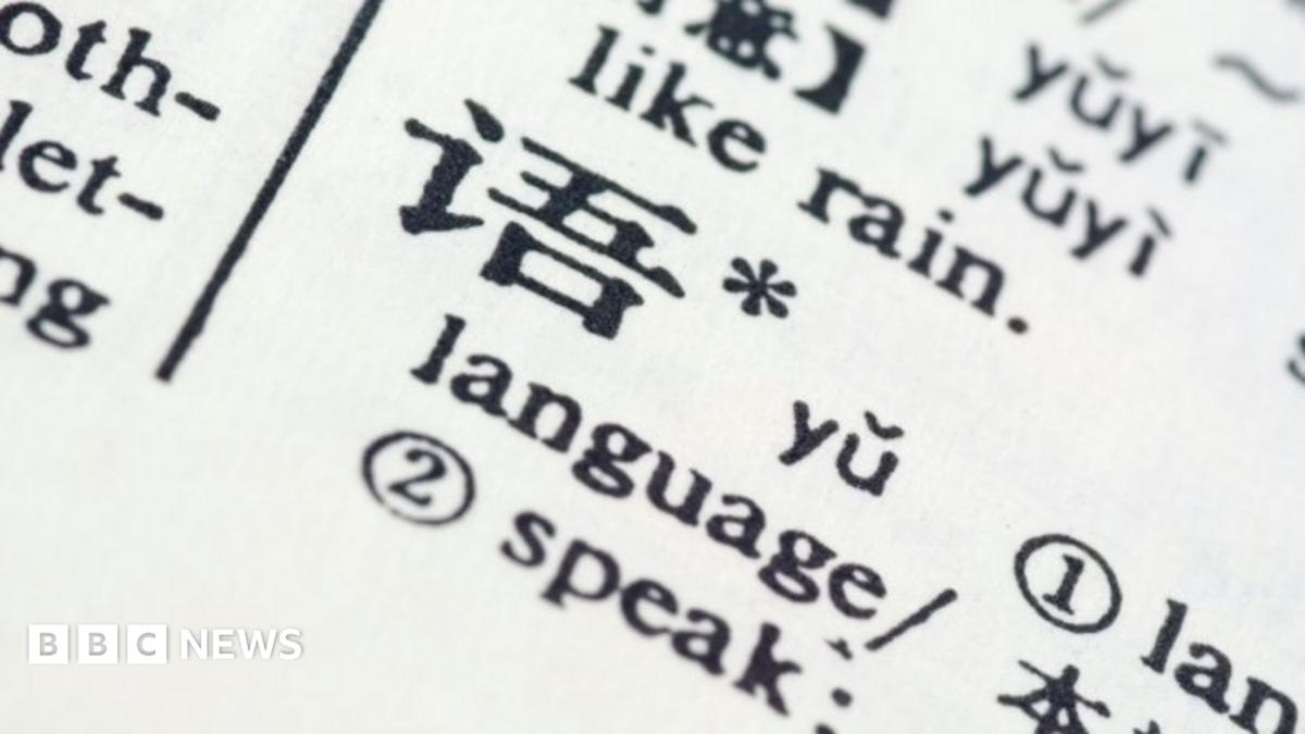 New Chinese dictionary in row over 'gay' omission - BBC News