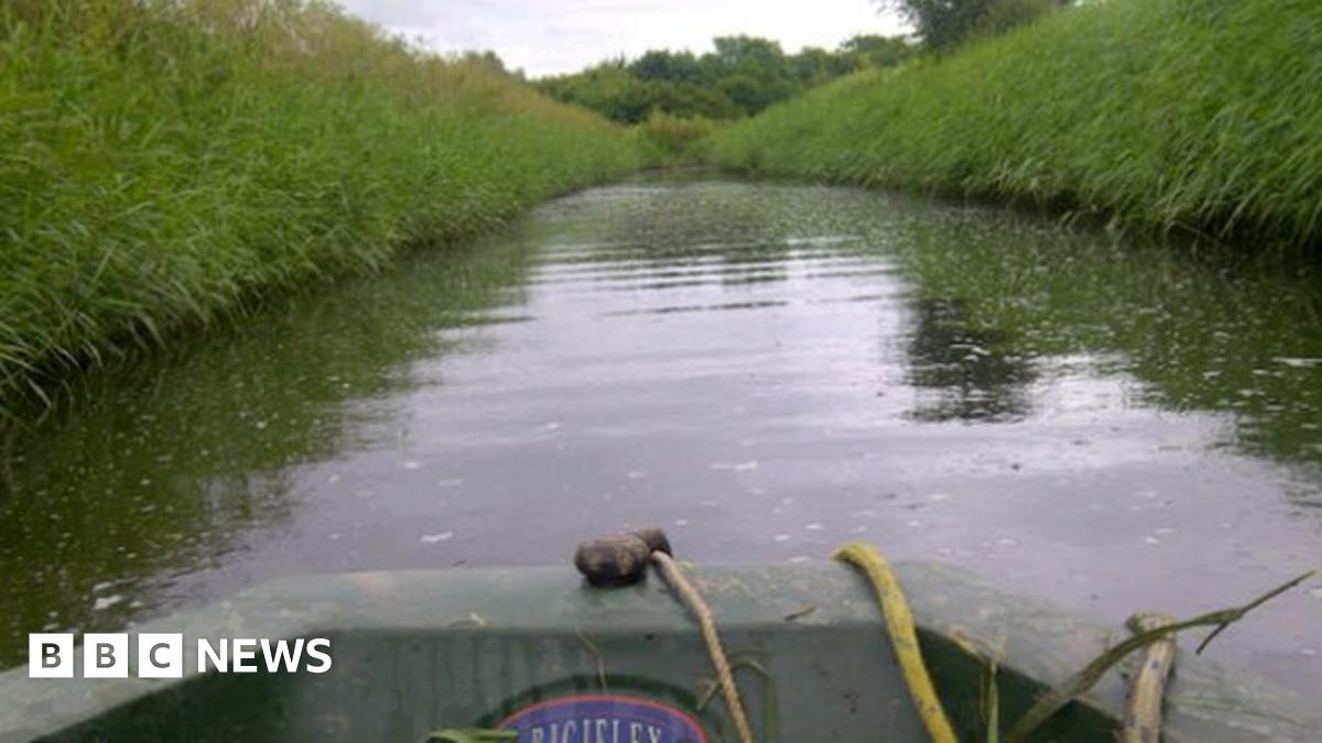 Burstwick Drain water samples check oxygen level - BBC News