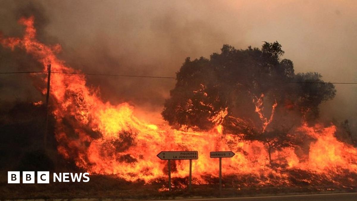 Spain wildfires: Four killed in Catalonia - BBC News