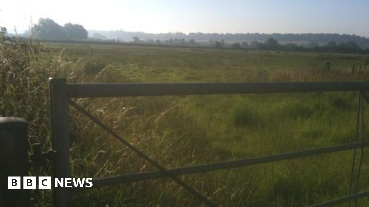 Devizes community farm proposal to go before council - BBC News