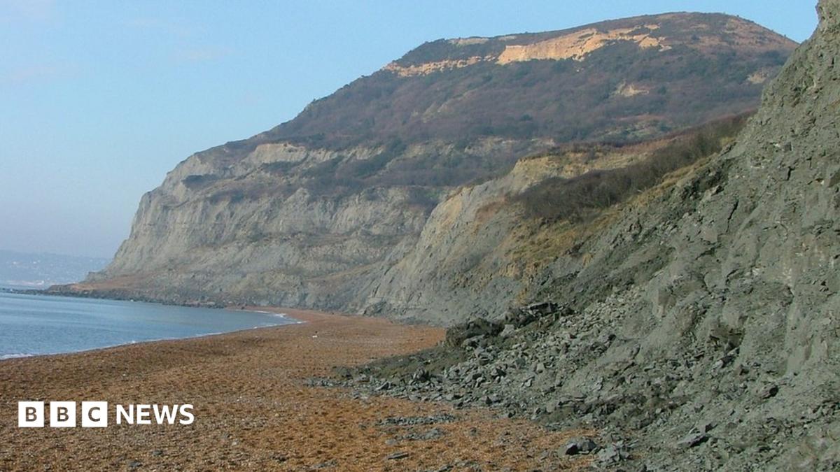Dorset cliff landslide: Tourism warning for Jurassic coast - BBC News