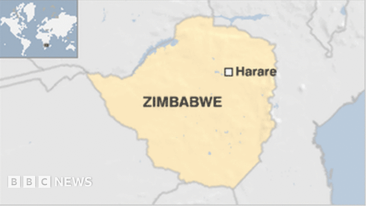 Harare thief asks for life in Zimbabwe jail - BBC News