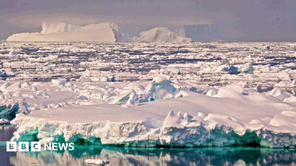 Surviving the worst winter in the world - BBC News