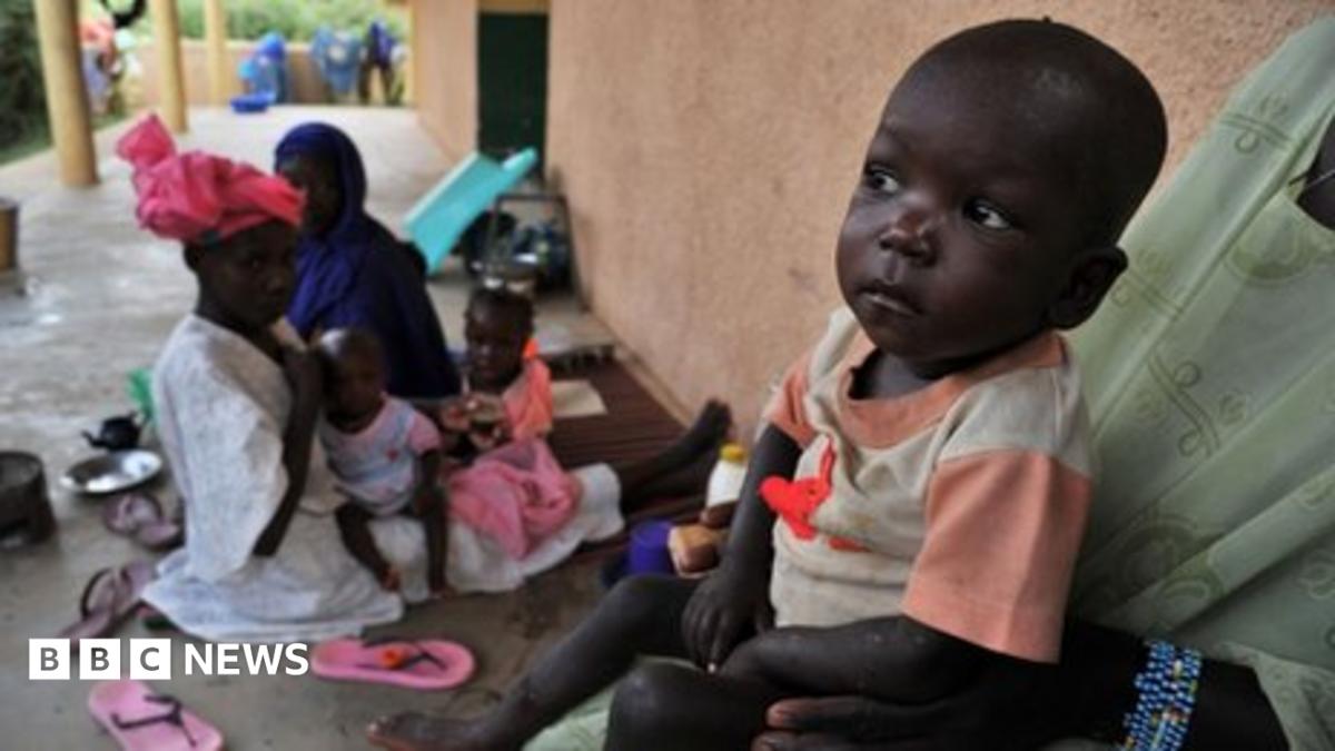 Sahel region of West Africa 'in permanent food crisis' - BBC News