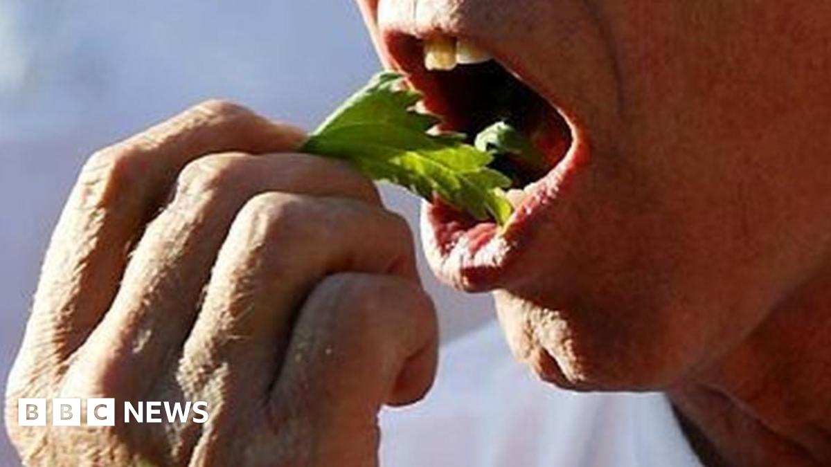 Dorset holds nettle eating competition - BBC News