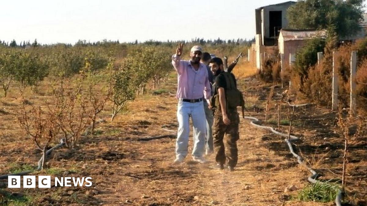 Syria crisis: Food shortage warning from UN WFP and FAO - BBC News