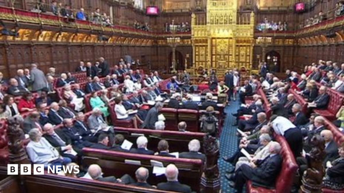 Lib Dems stand firm on Lords reform amid speculation plans may be ...