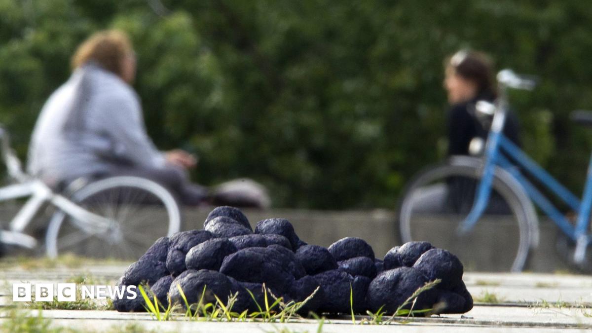 Dung heap piles on show at Berlin art gallery - BBC News