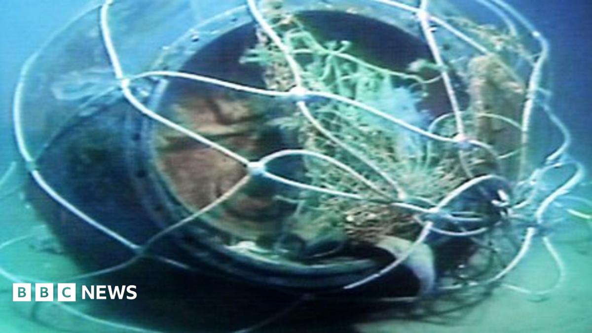 World War II North Sea mine 'successfully detonated' - BBC News