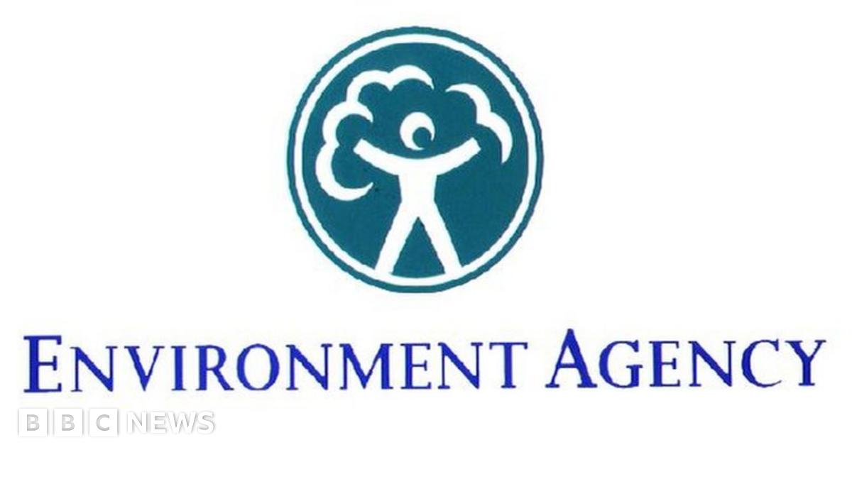 Drayton Reservoir fish death: Further test being carried out - BBC News