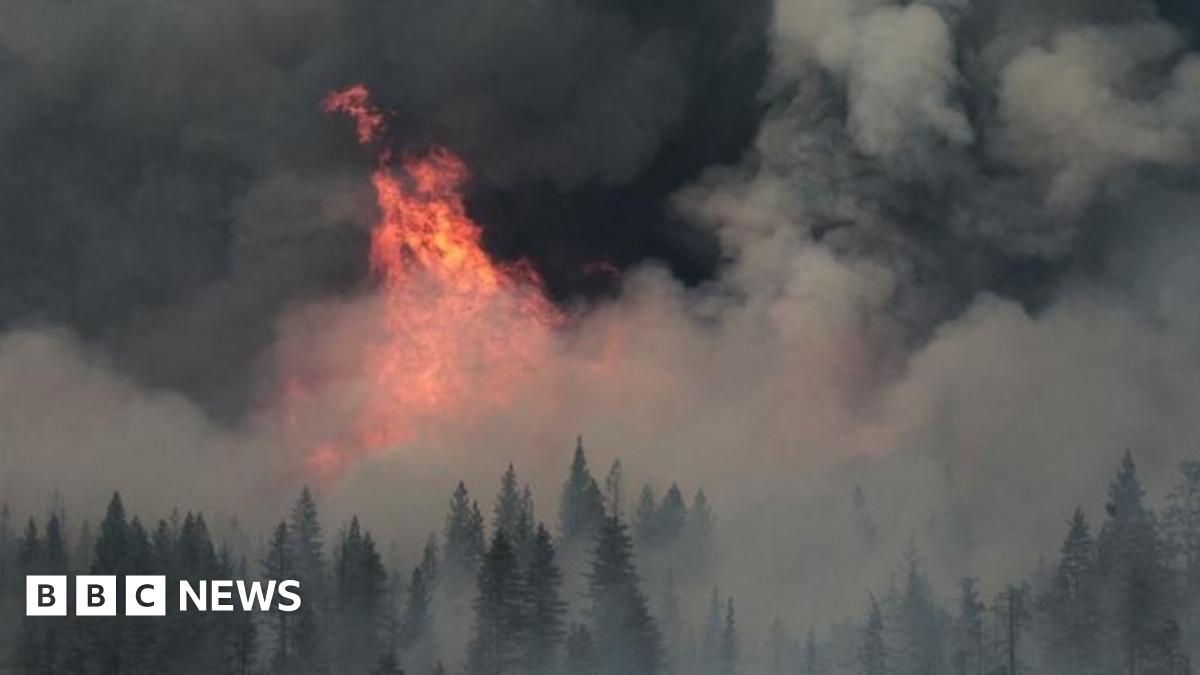 Wildfire near Manton, California, destroys 50 buildings - BBC News