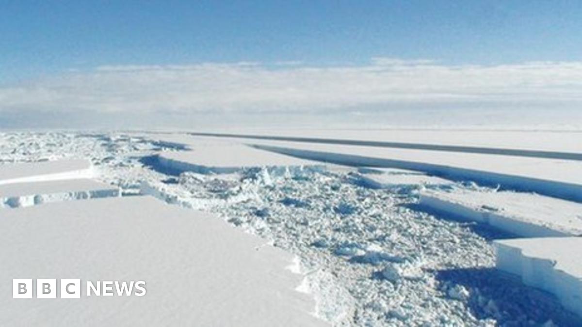 Antarctica warmth 'unusual, but not unique' - BBC News