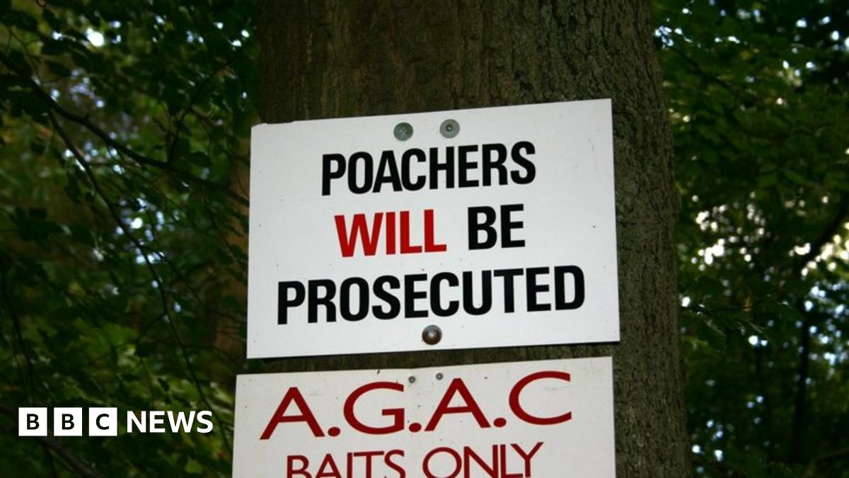 Humberside Police clampdown on poachers - BBC News