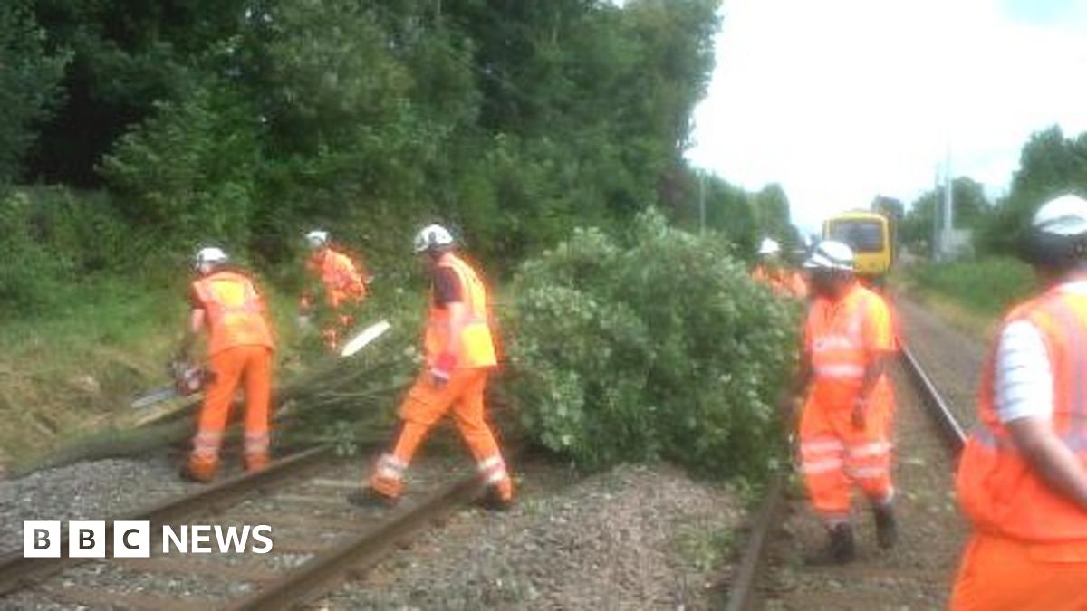 London Midland line reopened after fallen tree problems - BBC News