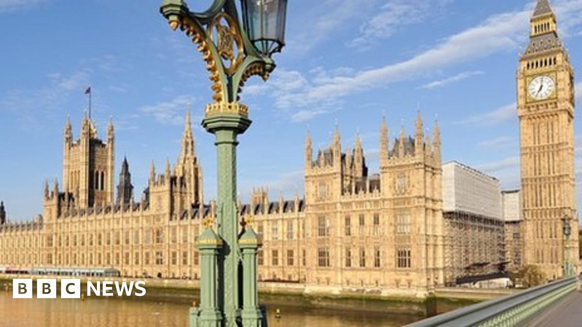 English MPs 'could get veto on laws' under government plans - BBC News