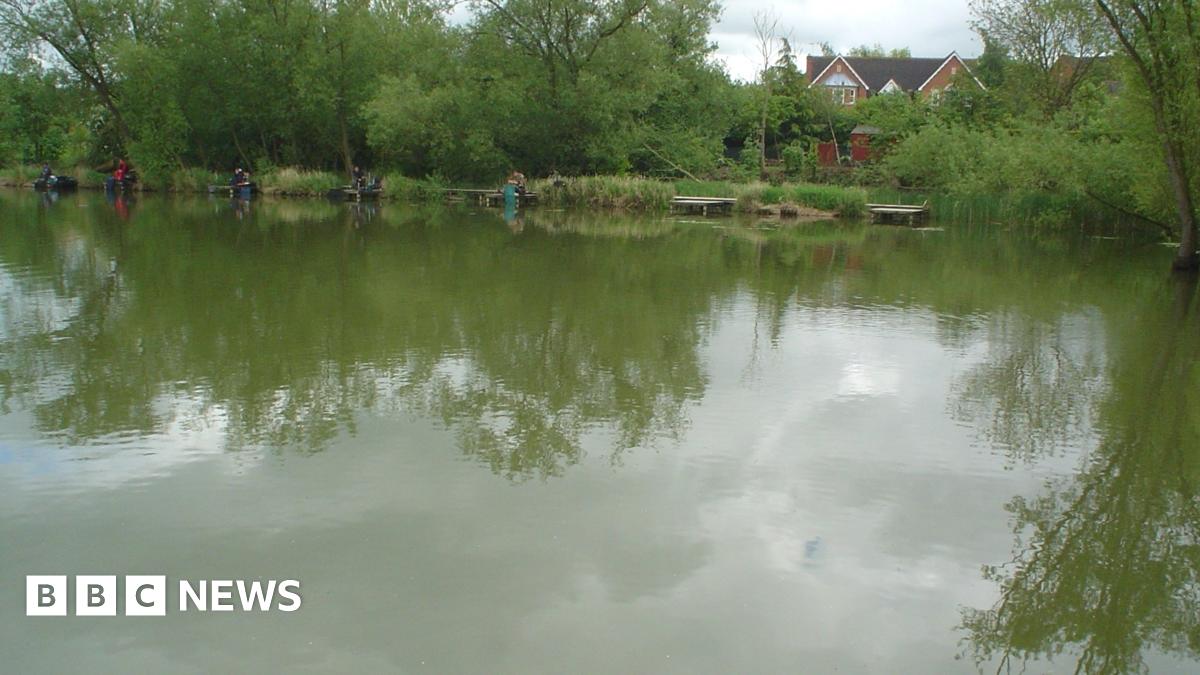 Drayton Reservoir fish death: Tests are inconclusive - BBC News