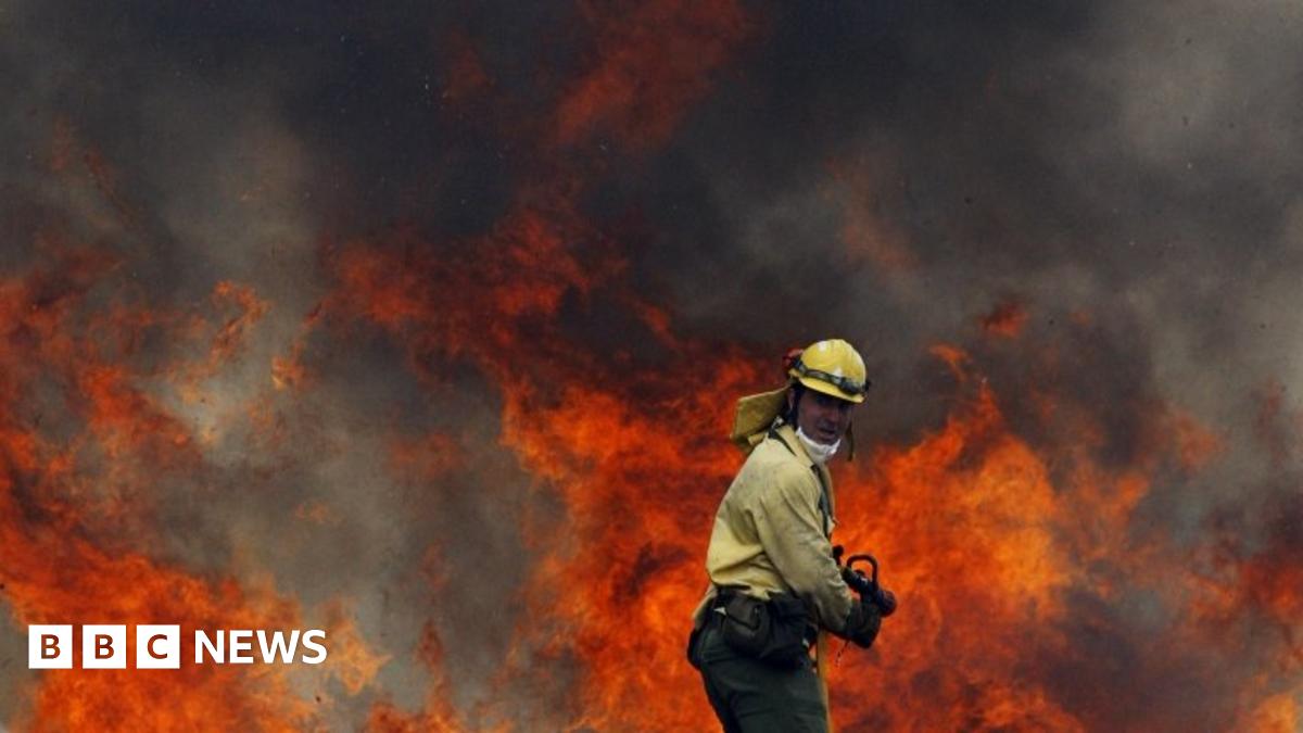 Spain fires: Costa del Sol blaze 'mostly halted' - BBC News