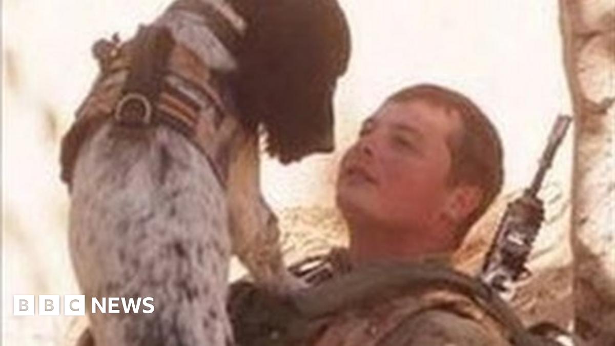 Army sniffer dog Theo given top honour - BBC News
