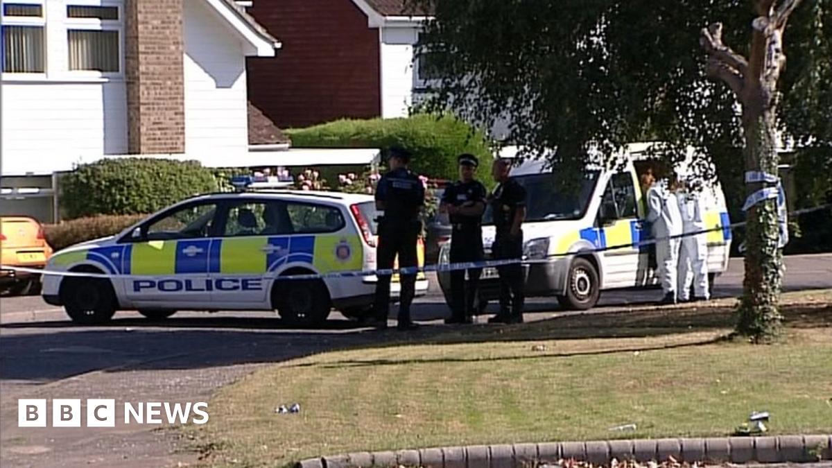 Essex house party stabbing: Fourth murder suspect held - BBC News