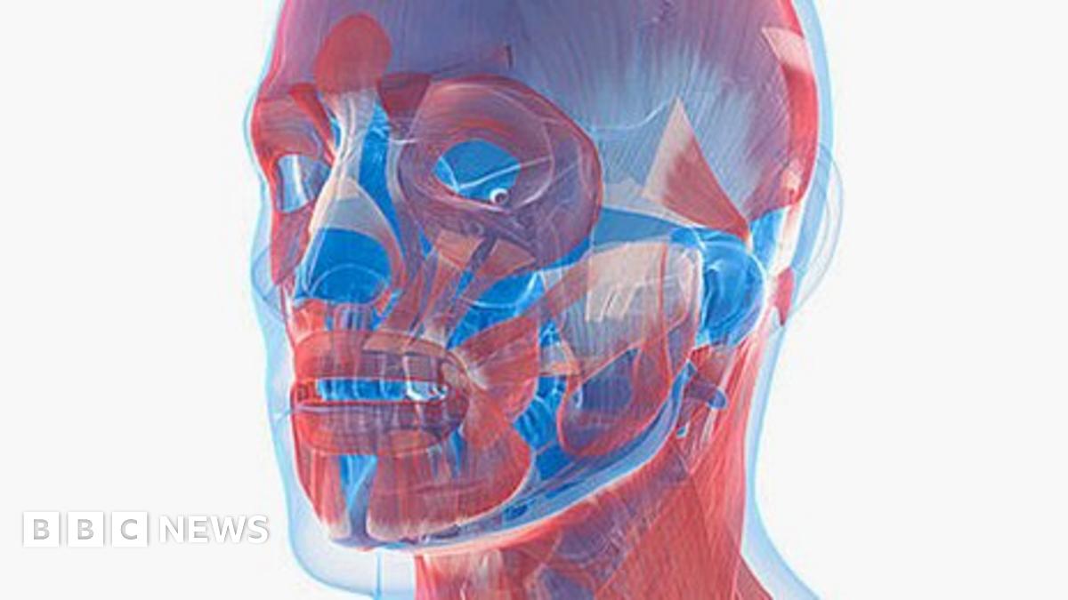 Genes for face shape identified - BBC News