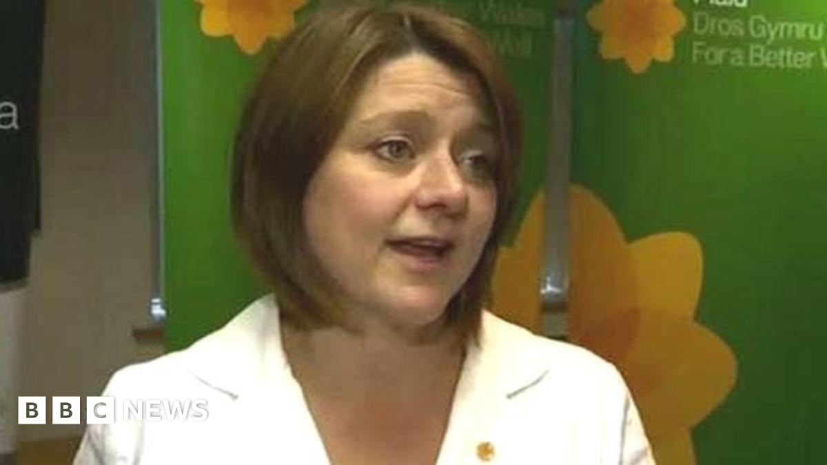 Plaid Cymru: Leanne Wood's economy 'green new deal' - BBC News