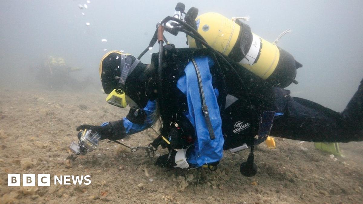 Dorset diver welcomes protection of 'diverse' coastline - BBC News