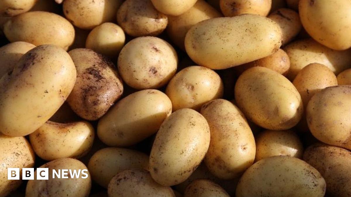 Rothamsted scientists study 170-year-old potatoes - BBC News
