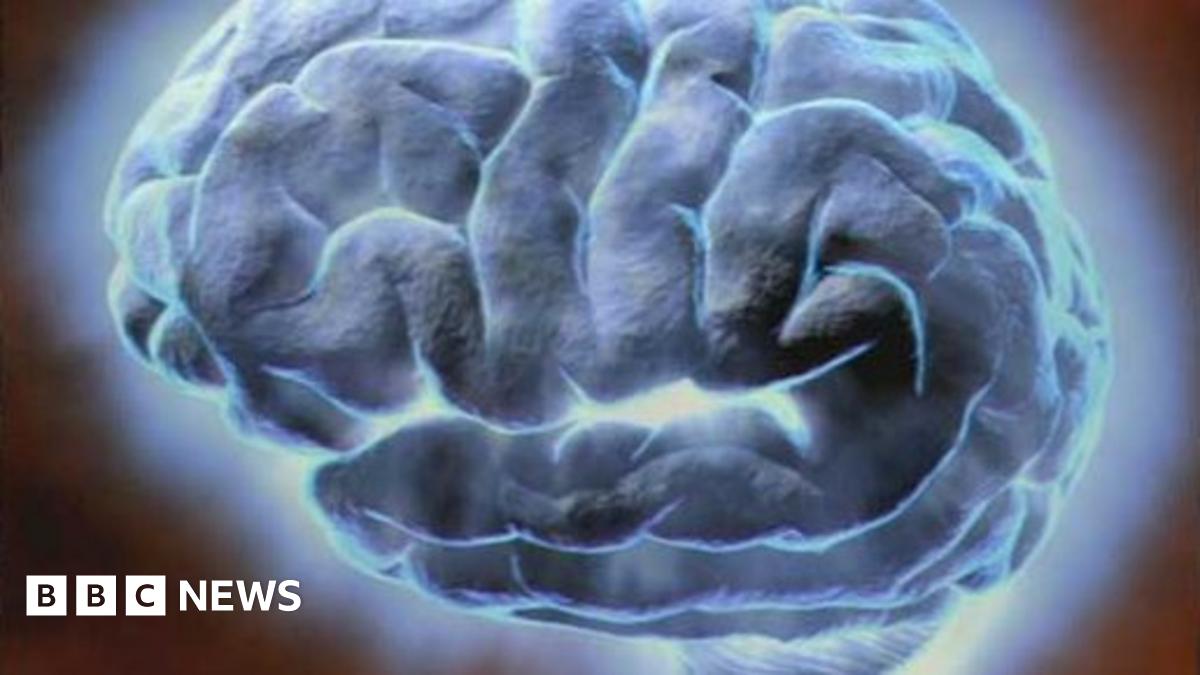 Human brain gene map shows striking similarities - BBC News