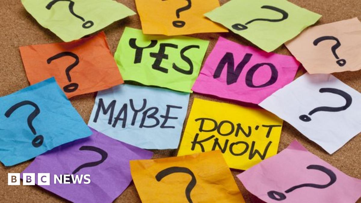 Viewpoint: Stop coddling dumb undecided voters - BBC News