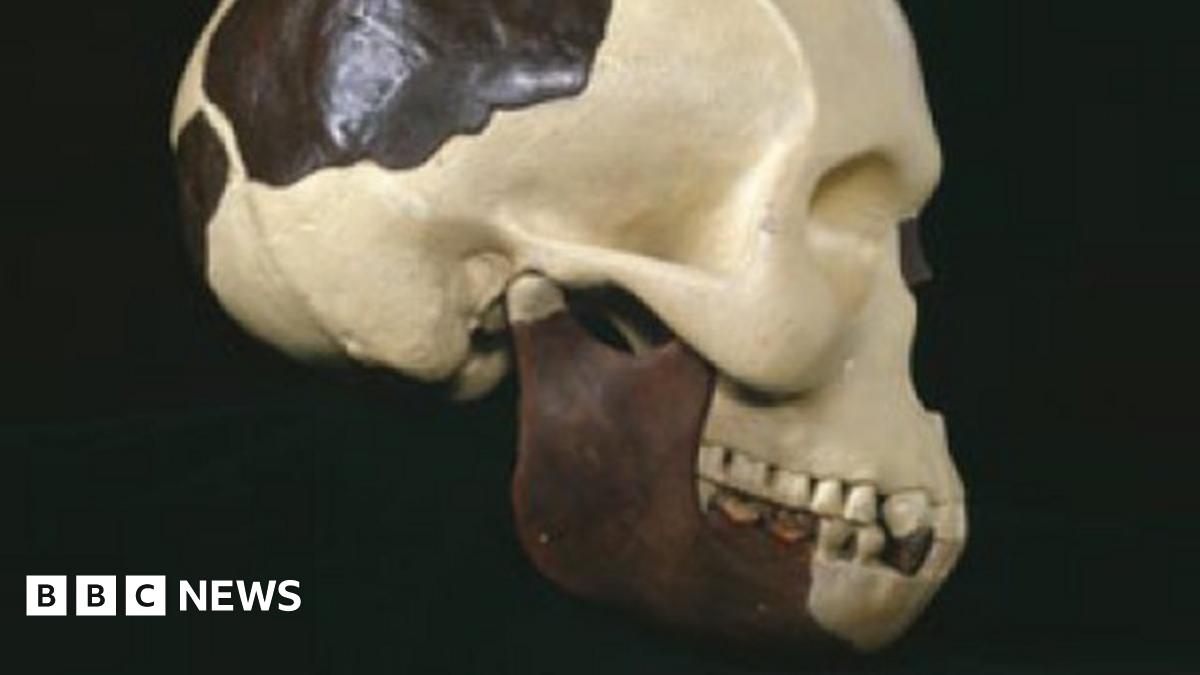 Piltdown Man hoax centenary event held - BBC News