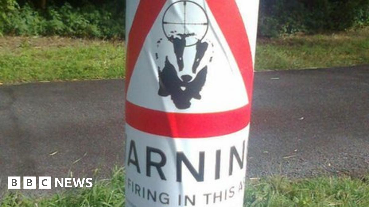 Badger cull warning posters appear in Gloucestershire - BBC News