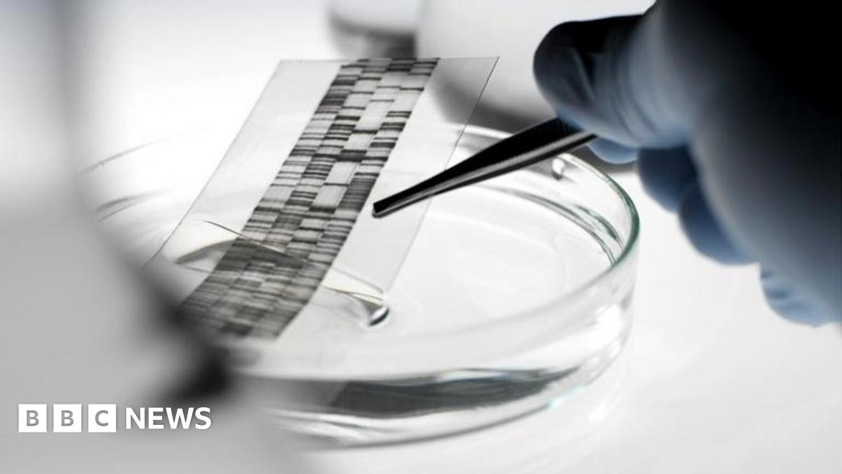 DNA rape sample procedures 'not adequate' - BBC News