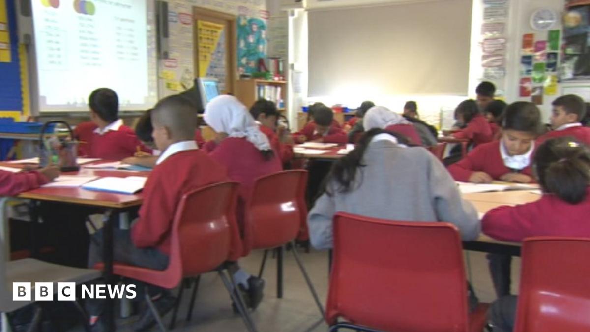 Birmingham's large primary schools 'bad for pupils' - BBC News