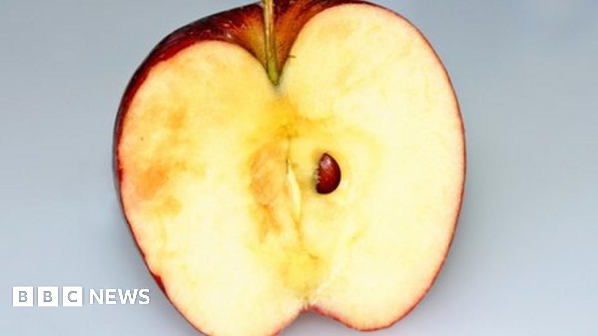 Apple core litter fine angers County Down driver - BBC News