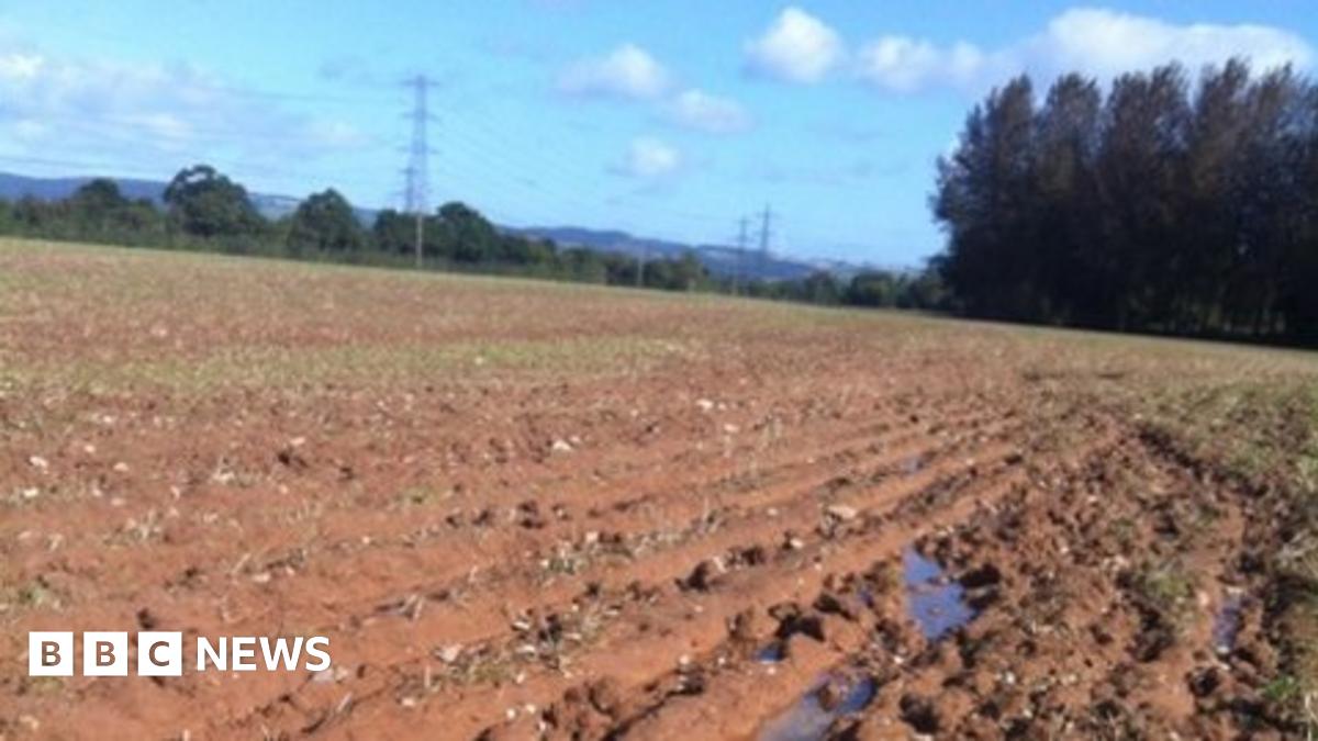 Farmer says 2012 'the worst harvest in my lifetime' - BBC News