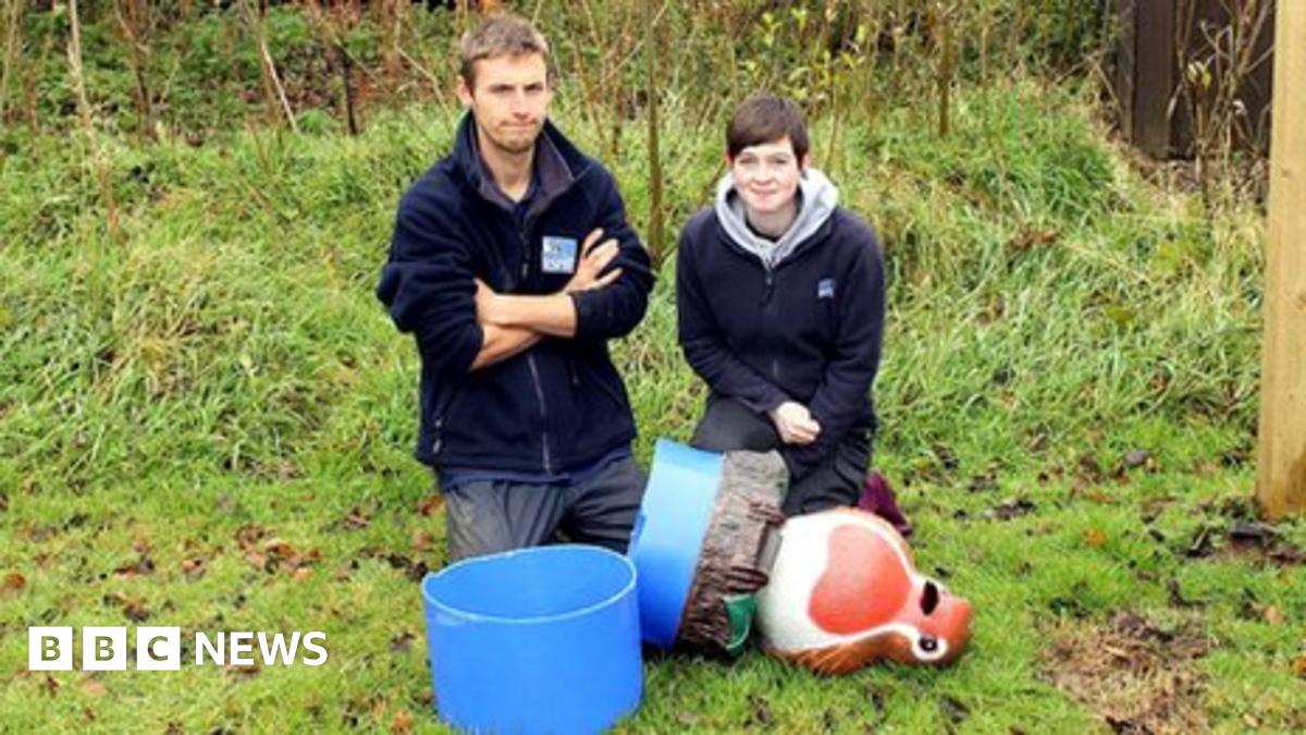 RSPB Loch of Strathbeg collection box thieves criticised - BBC News