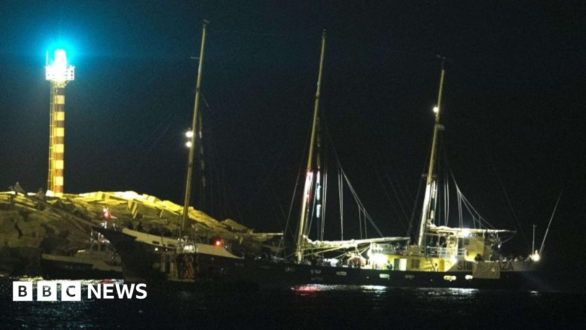 Estelle intercepted: Israel navy stops Gaza-bound boat - BBC News